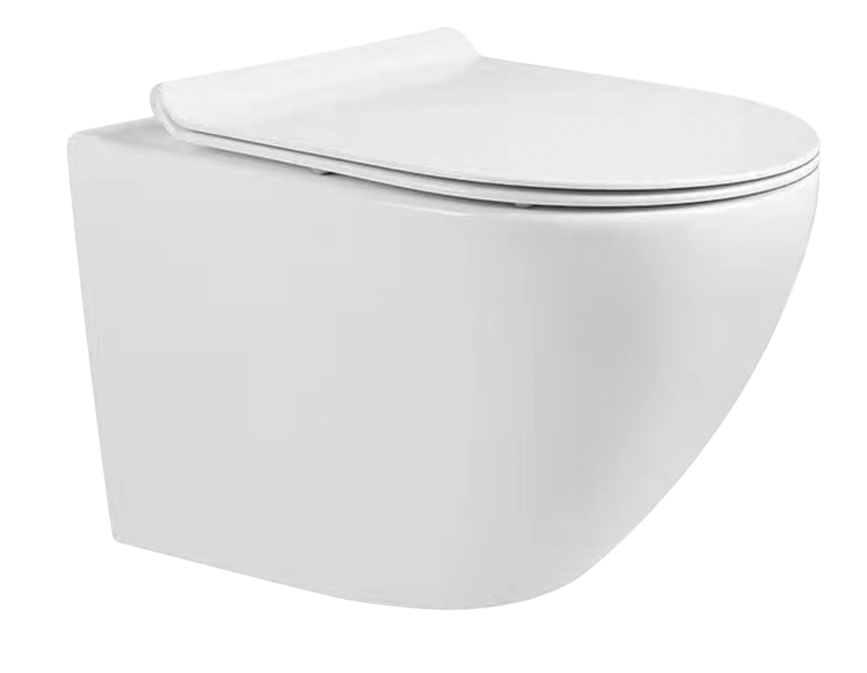 Washdown Wall Hung WC Complete Set (P-180mm) - White – Big Bath Online ...